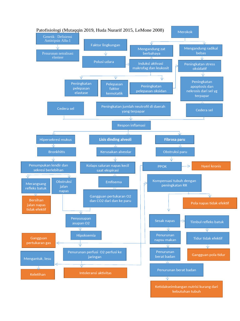 Patofisiologi Ppok | PDF