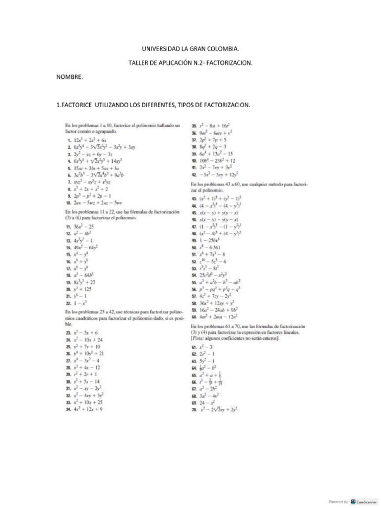 TALLER DE FACTORIZACION N.2 | PDF