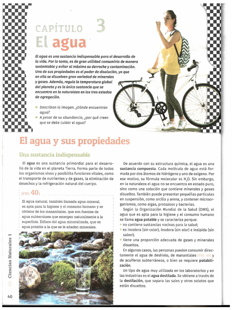 LIBRO Cs Naturales | PDF