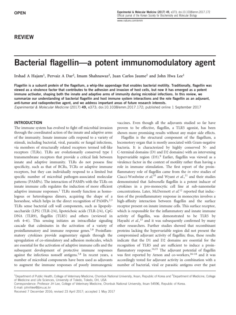Flagellin Immunomodulatory Agent | PDF | Toll Like Receptor | Immune System