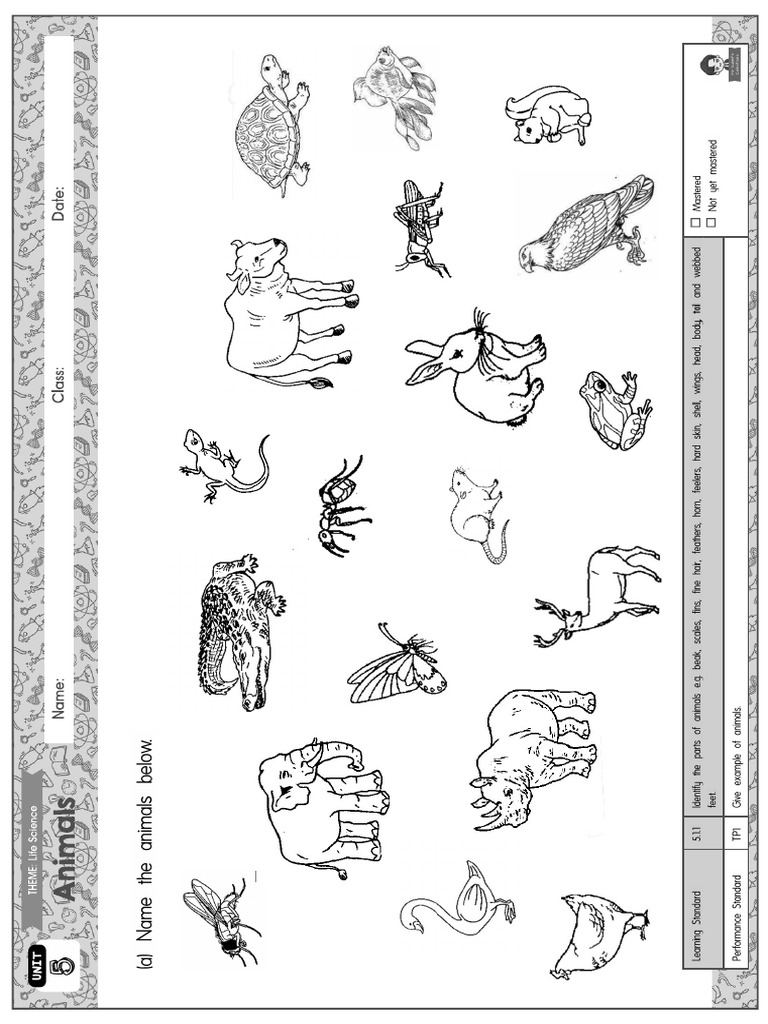 Unit 5 worksheet | PDF