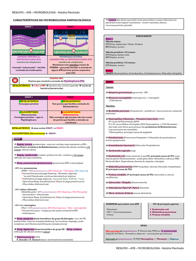 Resumo Natália - Farmaco Av1 Microbiologia Farmacológica | PDF | Bactérias | Pneumonia