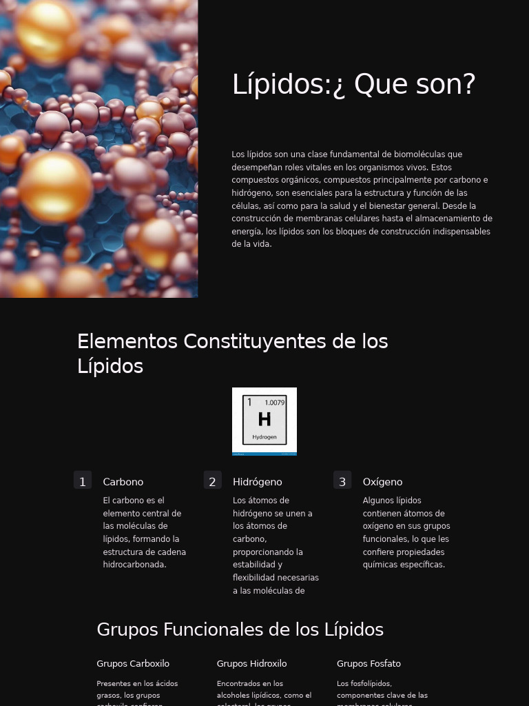 Lipidos Que Son | PDF | Lípido | Triglicéridos
