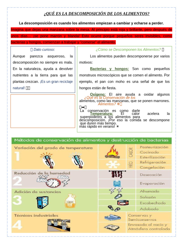 Qué Es La Descomposición de Los Alimentos | PDF