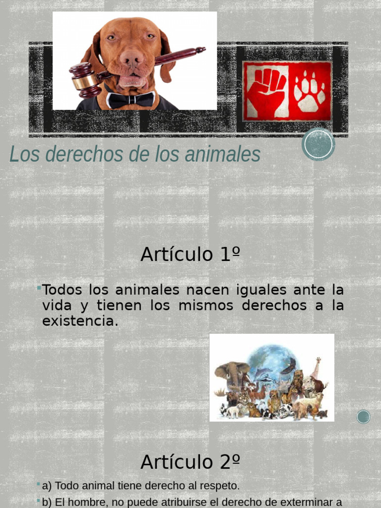 Derechos fundamentales de los animales | PDF