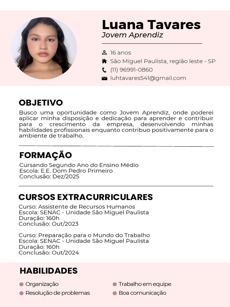 Currículo Luana Tavares | PDF