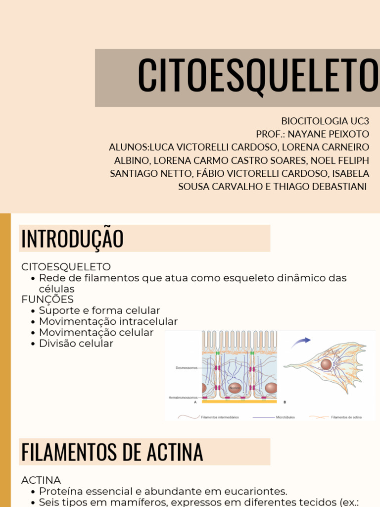 Função dos Filamentos Intermediários | PDF | Microtúbulo | Citoesqueleto