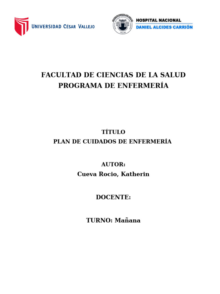 2022 ESTRUCTURA PAE - Kathy | PDF | Programas sociales | Enfermedades y ...