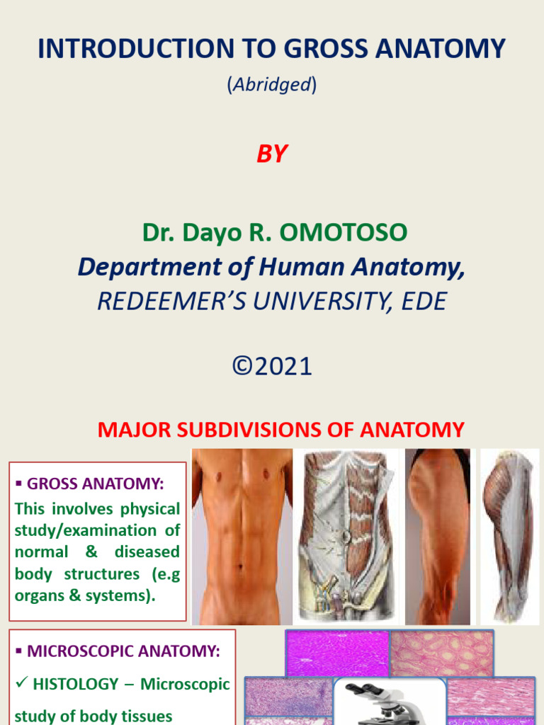 Intro To Gross Anatomy | PDF | Anatomical Terms Of Motion | Anatomical ...