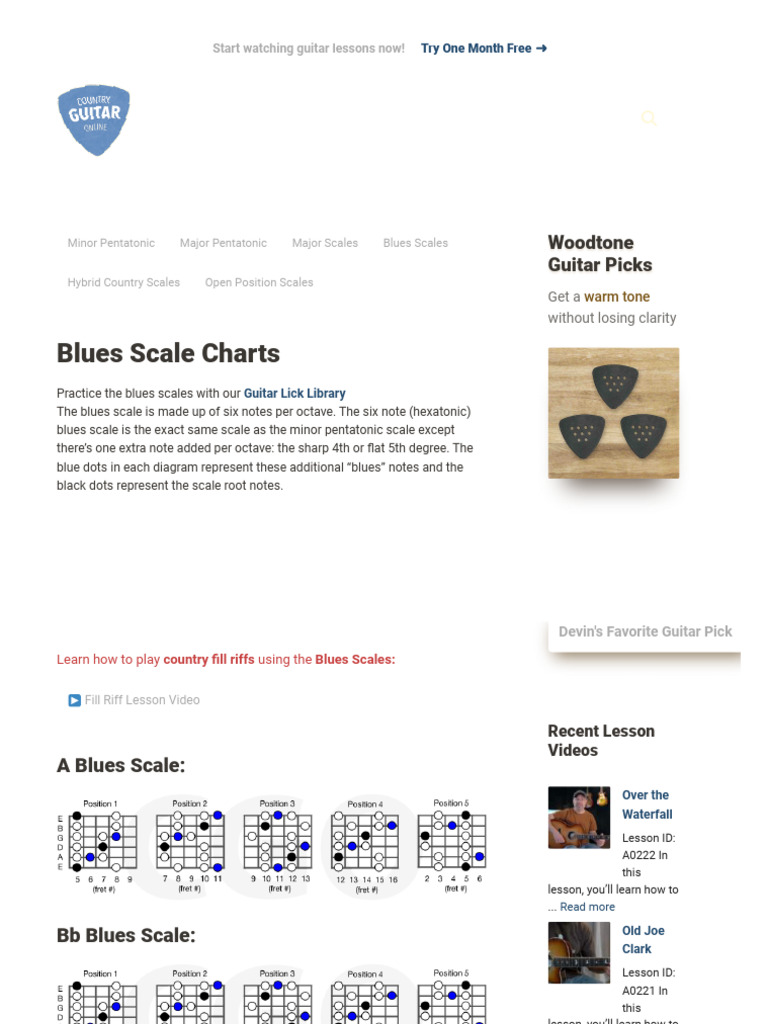 Blues Scales - Country Guitar Online | PDF | Guitars | Scale (Music)