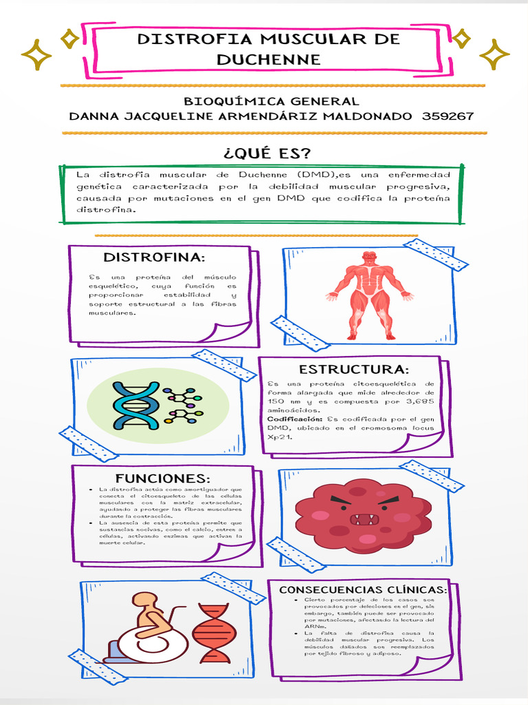 Distrofia Muscular de Duchenne: Causas y Efectos | PDF