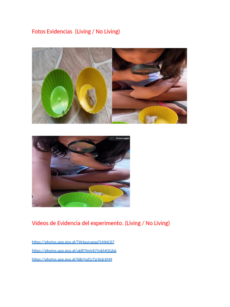 Experimento Dlvch12345 | PDF