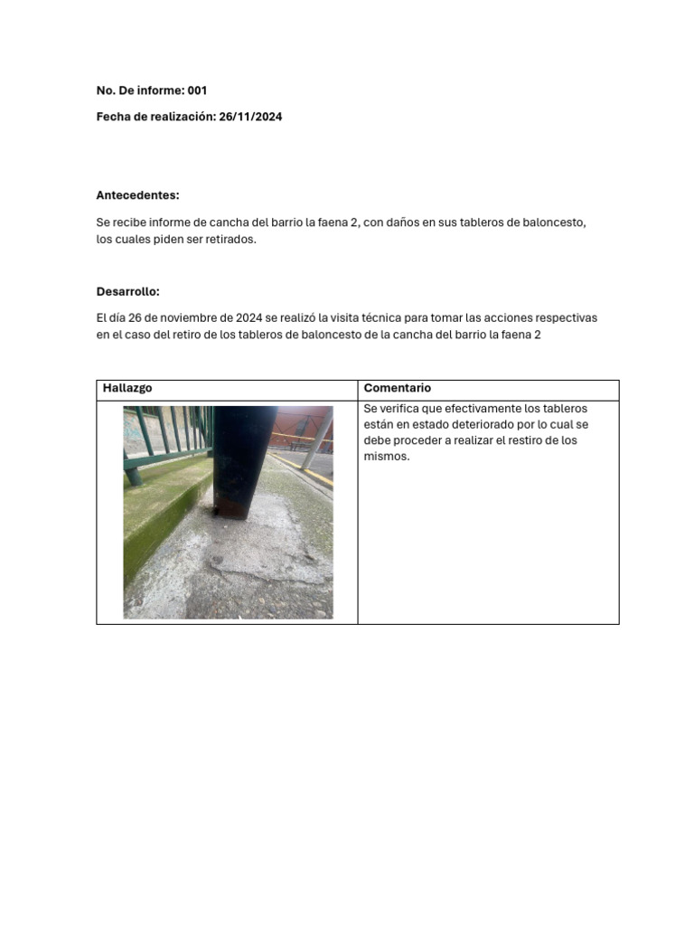Informe 001 | PDF