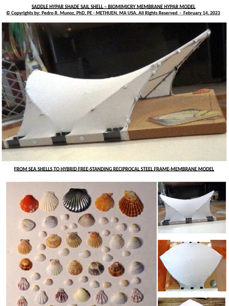 Saddle Hypar Shade Shell | PDF