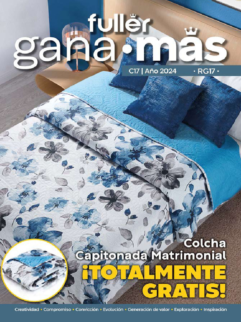 RG17_2024 (1) | PDF