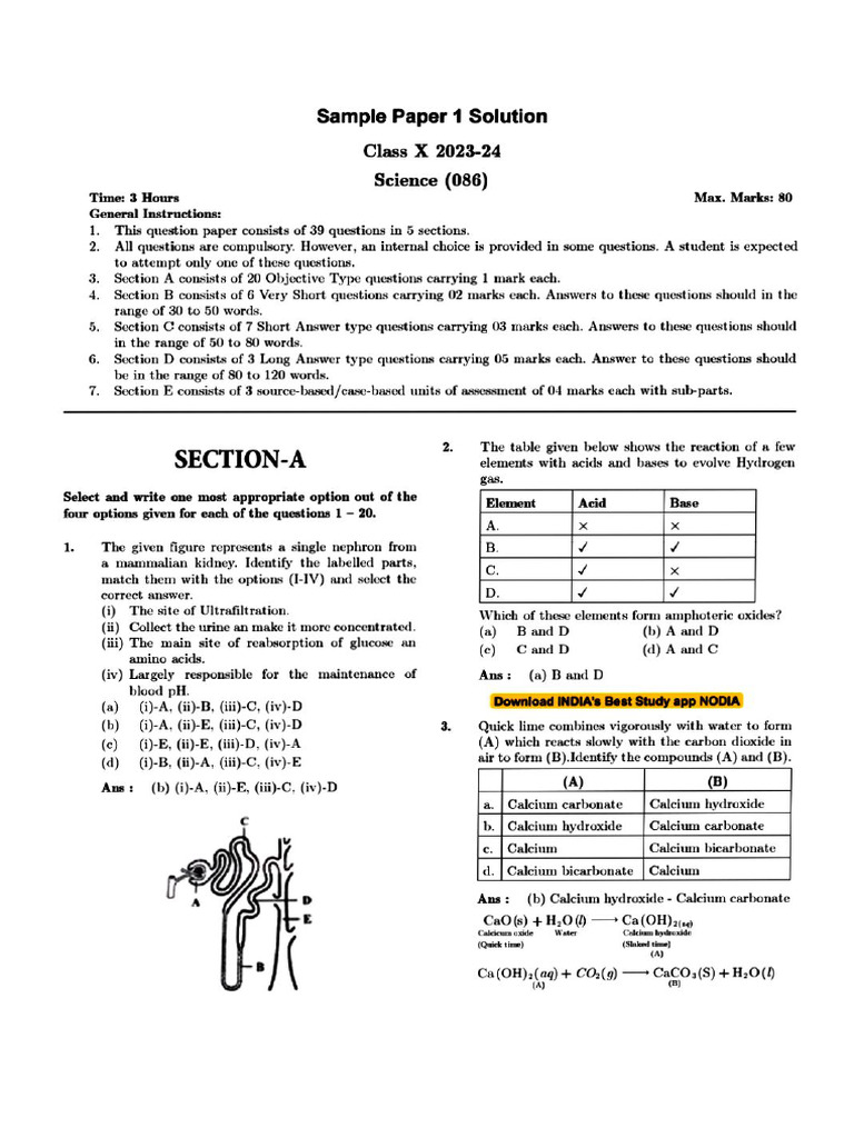 XTH Nodia Science SQP 1 To 15 | PDF