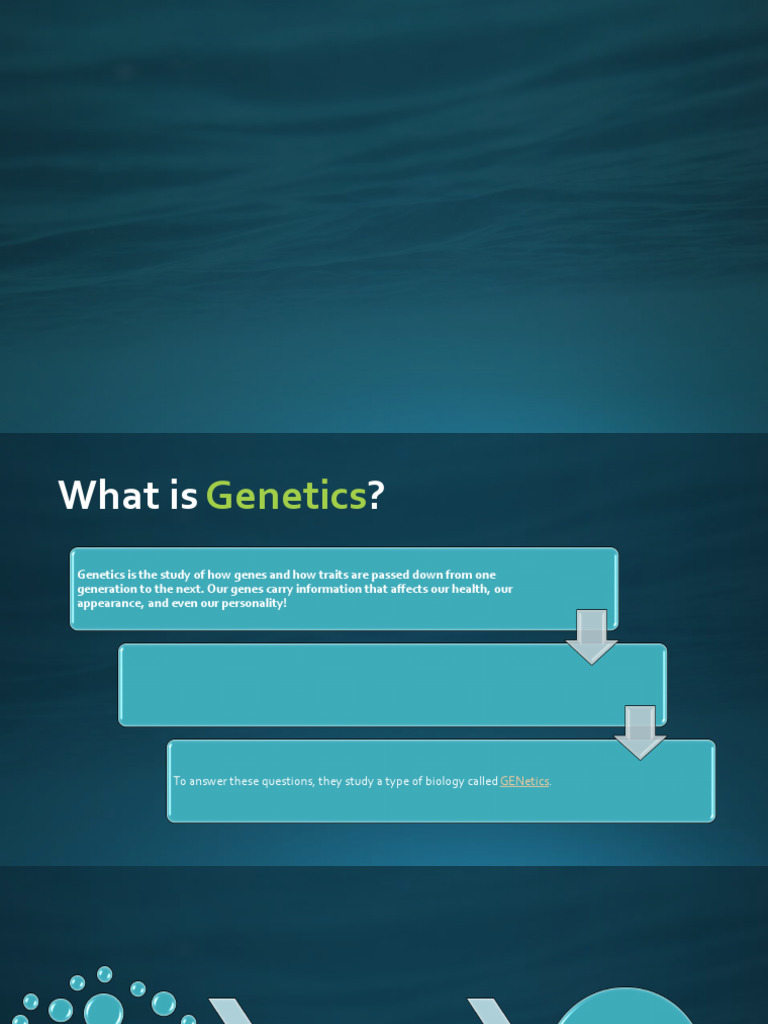 Understanding Genetics and Heredity | PDF | Genetics | Heredity