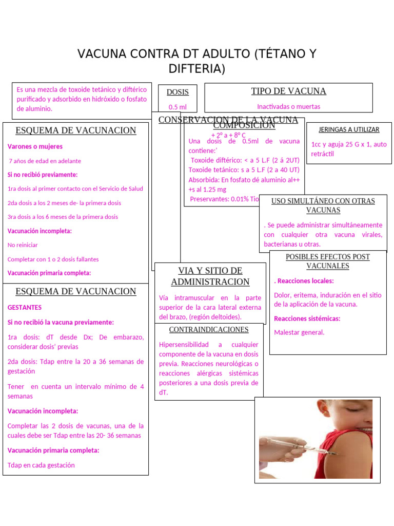 Vacuna DT Adulto: Esquema y Uso | PDF | Pediatría | Ciencias de la Salud