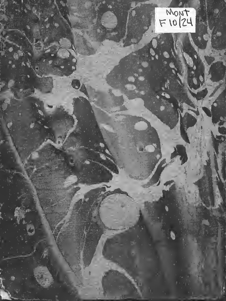 Modo de Orar Al Señor San Rafael | PDF | Creencia religiosa y doctrina | Teología