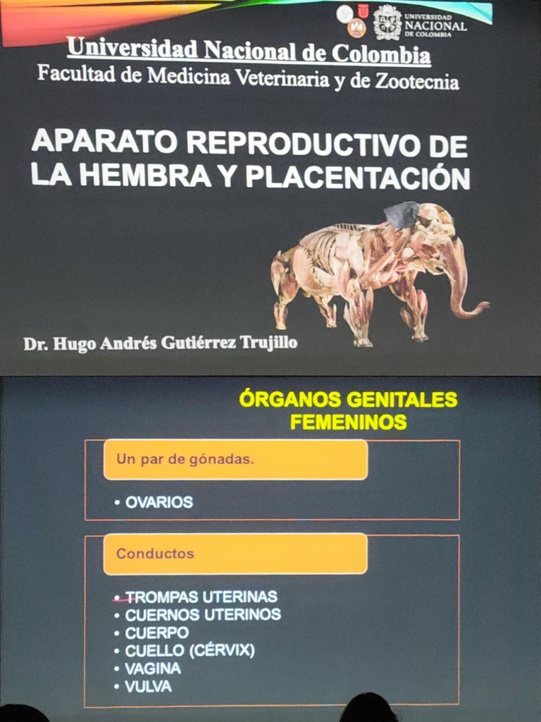 Anatomía Reproductivo Hembra 1 | PDF