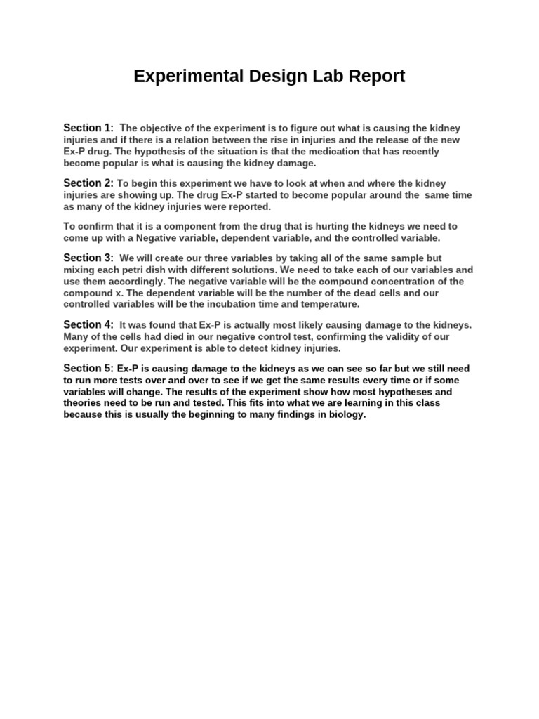 Lab Report | PDF