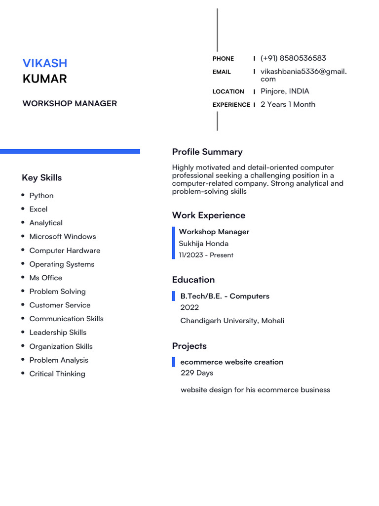 Workshop Manager with Python & Excel Skills | PDF