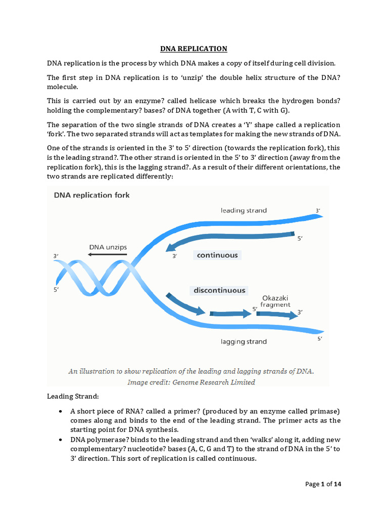 Module 3 DNA Replication, Trancription, and Translation ABMRCP ...