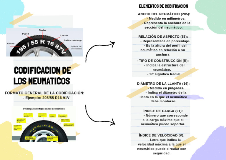 Organizador Visual Sobre Los Codigos de Neumaticos | PDF