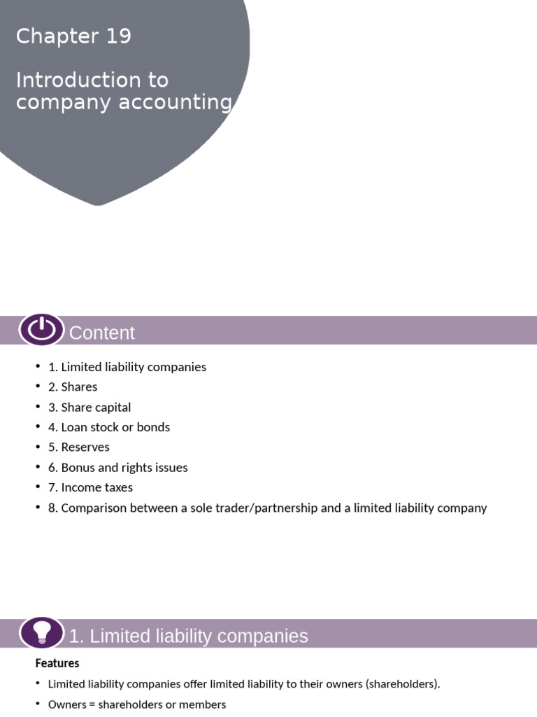 Chapter 19 Introduction To Company Accounting | PDF | Dividend | Preferred Stock