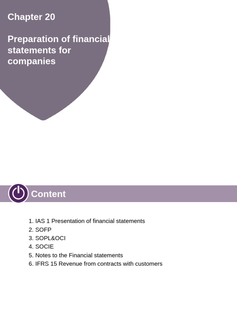 Chapter 20 Preparation of FSs For Companies New | PDF | International ...