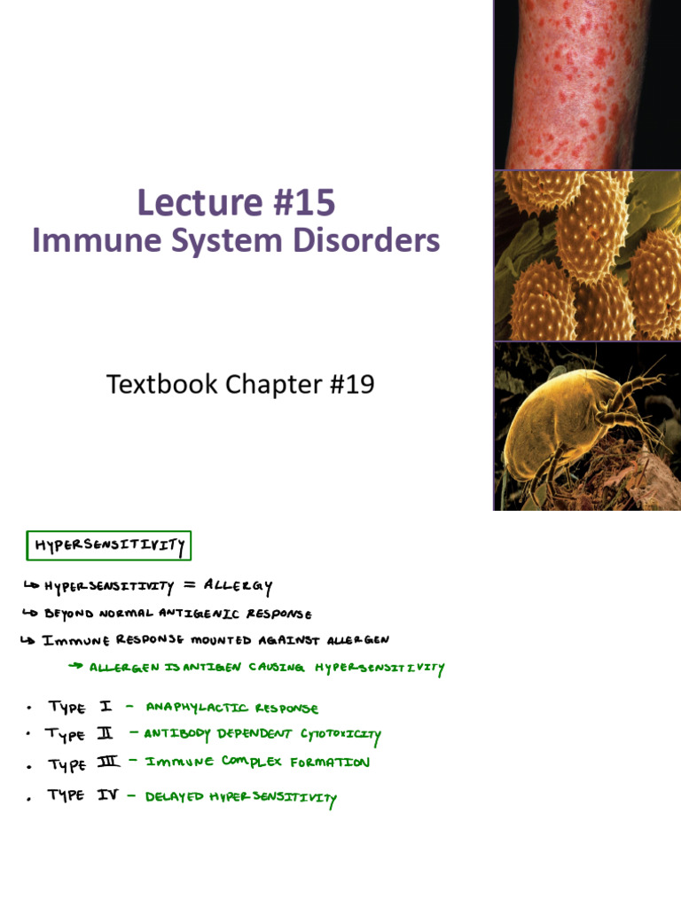 Lecture 15 - Immune System Disorders | PDF