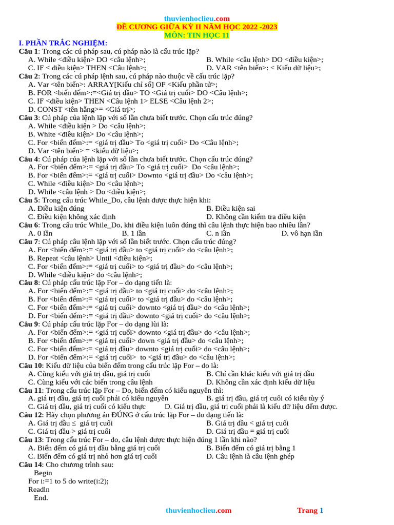 De Cuong On Tap Tin 11 Giua HK2 | PDF