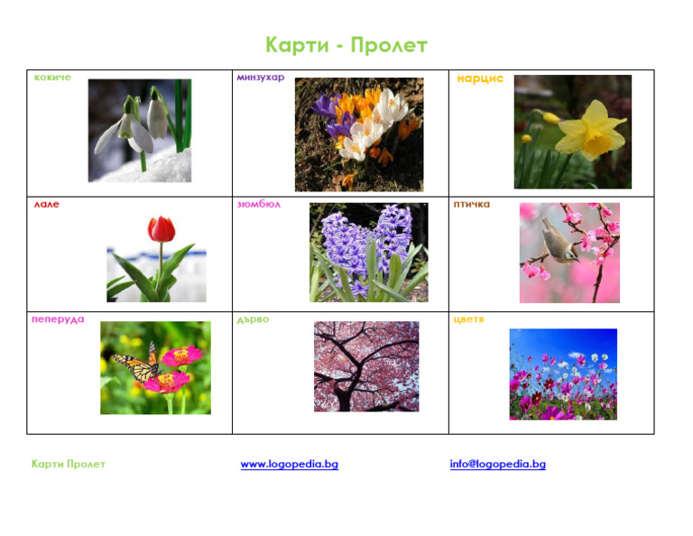 Karti Prolet Logopedia - BG | PDF