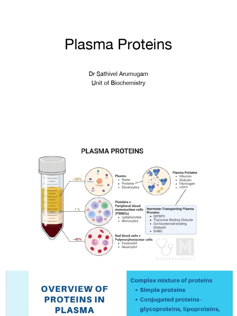 Overview of Plasma Proteins | PDF