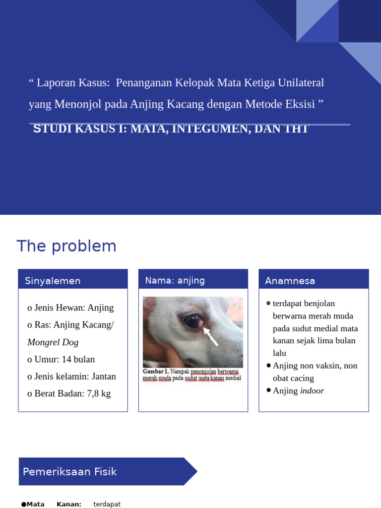 Reseptir_ Case Report Sistem Integumen, THT, Mata | PDF