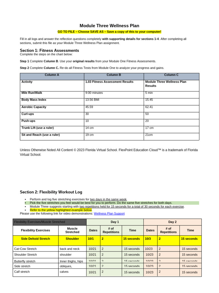 Module Three Wellness Plan | PDF | Strength Training | Physical Fitness