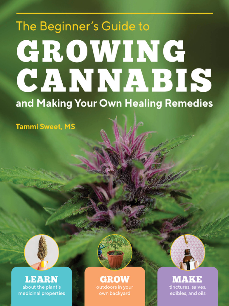Beginner’s Guide to Growing Cannabis and Making Your Own Healing | PDF | Seedling | Plants