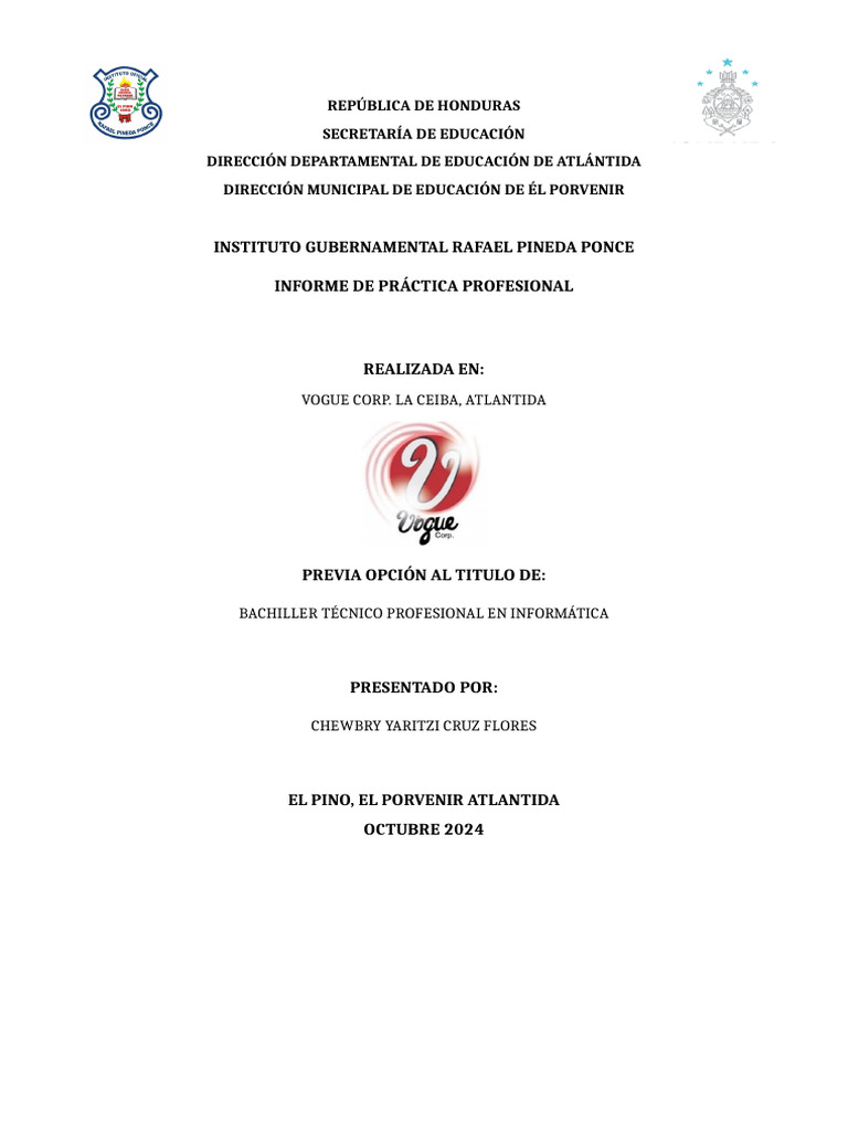 Informe de Práctica Profesional | PDF