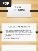 Succus Entericus New | PDF | Digestive System | Gastroenterology