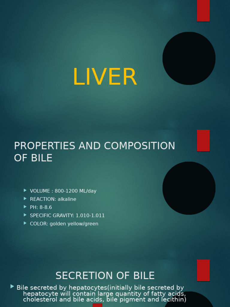 Liver | PDF | Bile | Liver