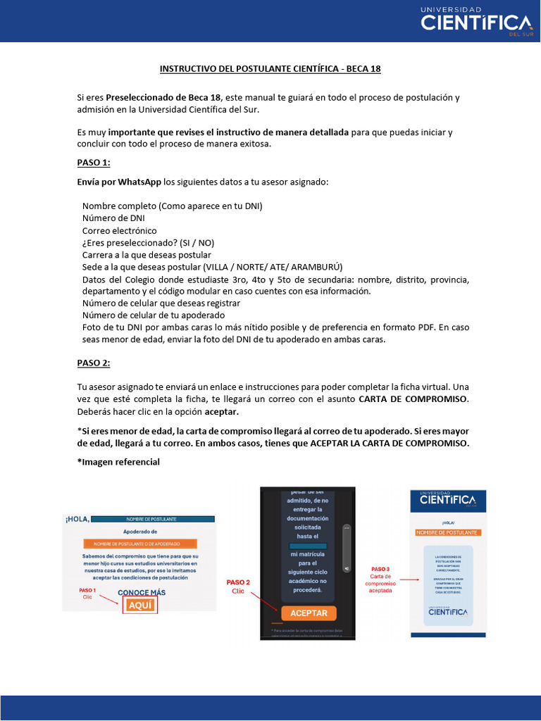 Instructivo Del Postulante Cientifica Beca 18 2025 v2 | PDF | Procesos de negocio