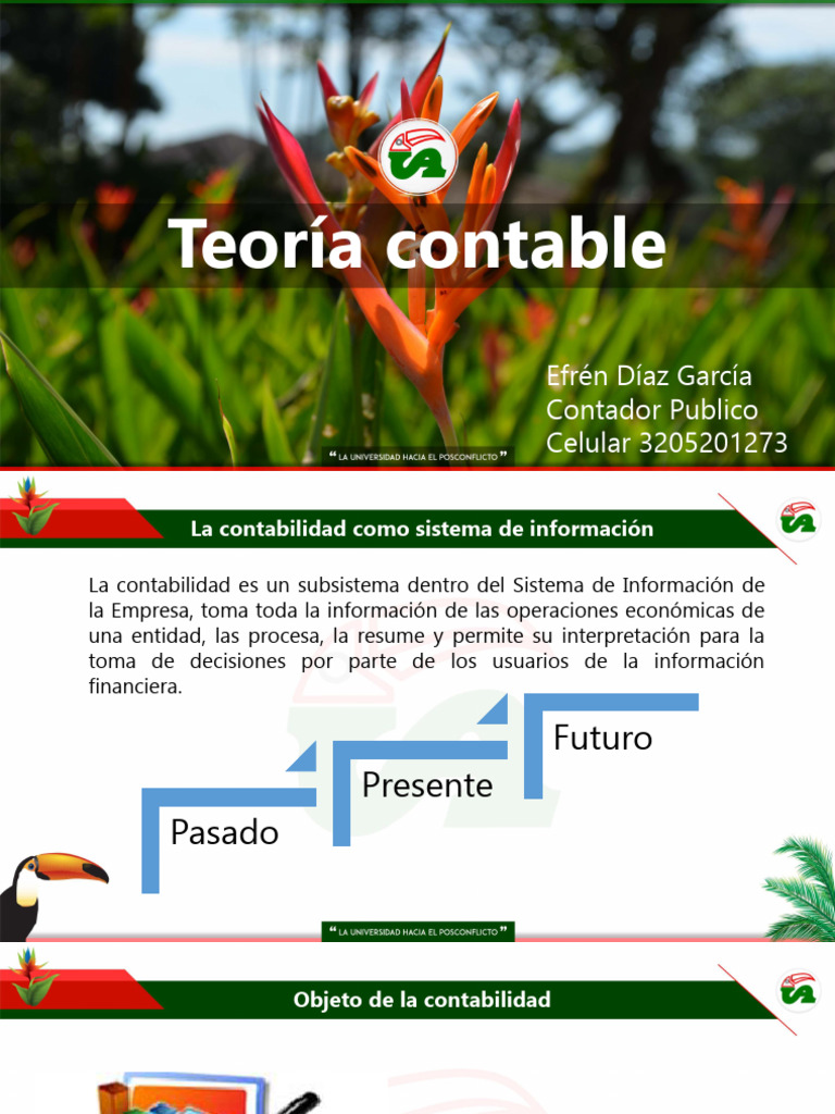 Teoría Contable | PDF | Contabilidad | Teneduría de libros