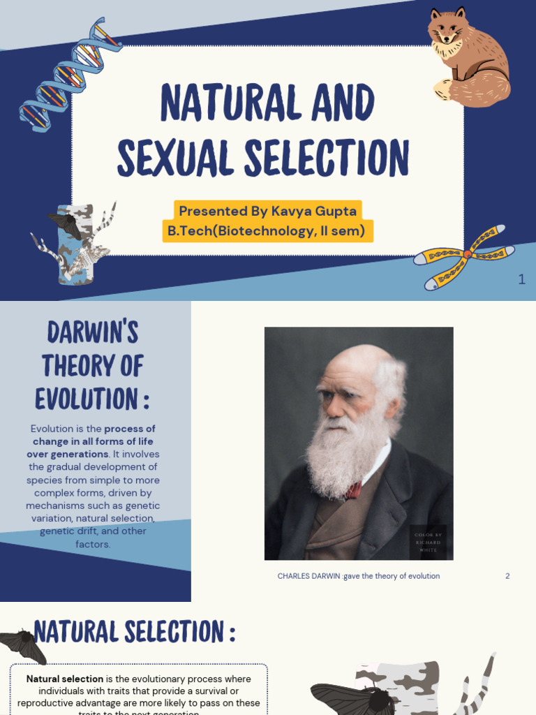 Natural and Sexual Selection | PDF | Natural Selection | Evolution