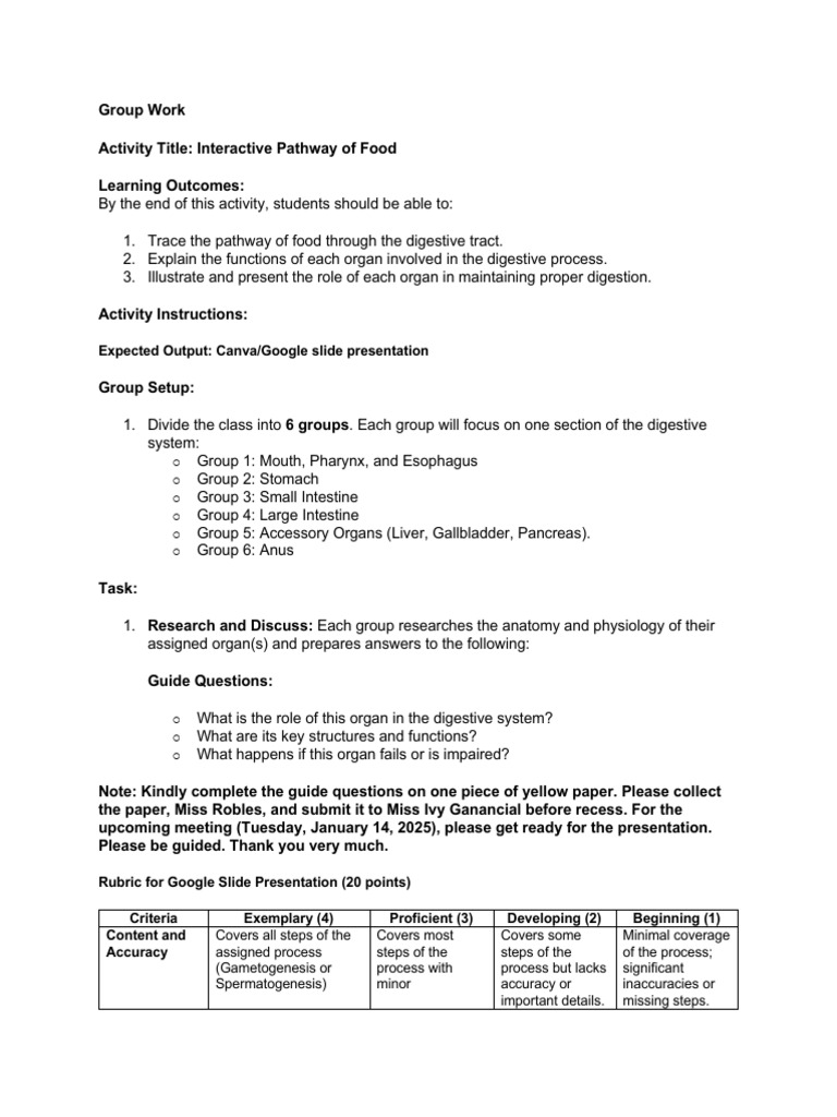 St. Catherine-Group Work-Digestive System | PDF | Gastrointestinal ...