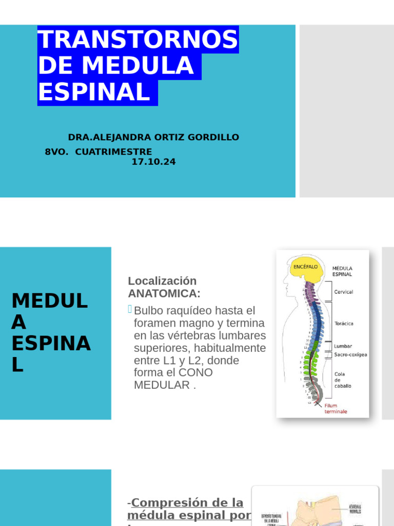 Transtornos de Medula Espinal Con Imagenes | PDF | Fluido ...