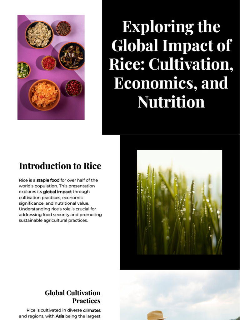 Global Impact of Rice: Cultivation & Nutrition | PDF | Agriculture | Rice