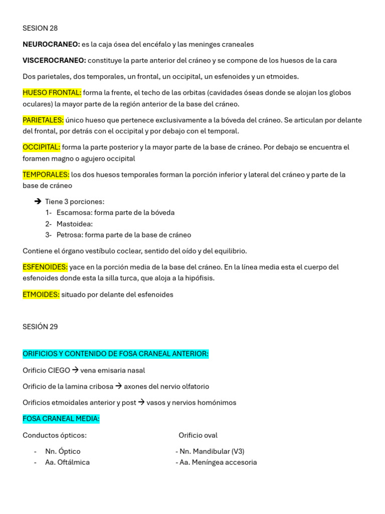 Anatomia 2do Parcial | PDF | Cráneo | Cabeza y cuello humanos