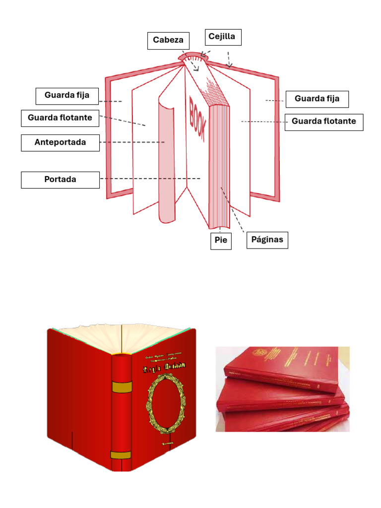 Partes de un libro: Guarda y Portada | PDF