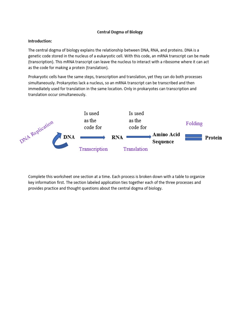 Central Dogma of Biology Worksheet | PDF | Messenger Rna | Translation ...