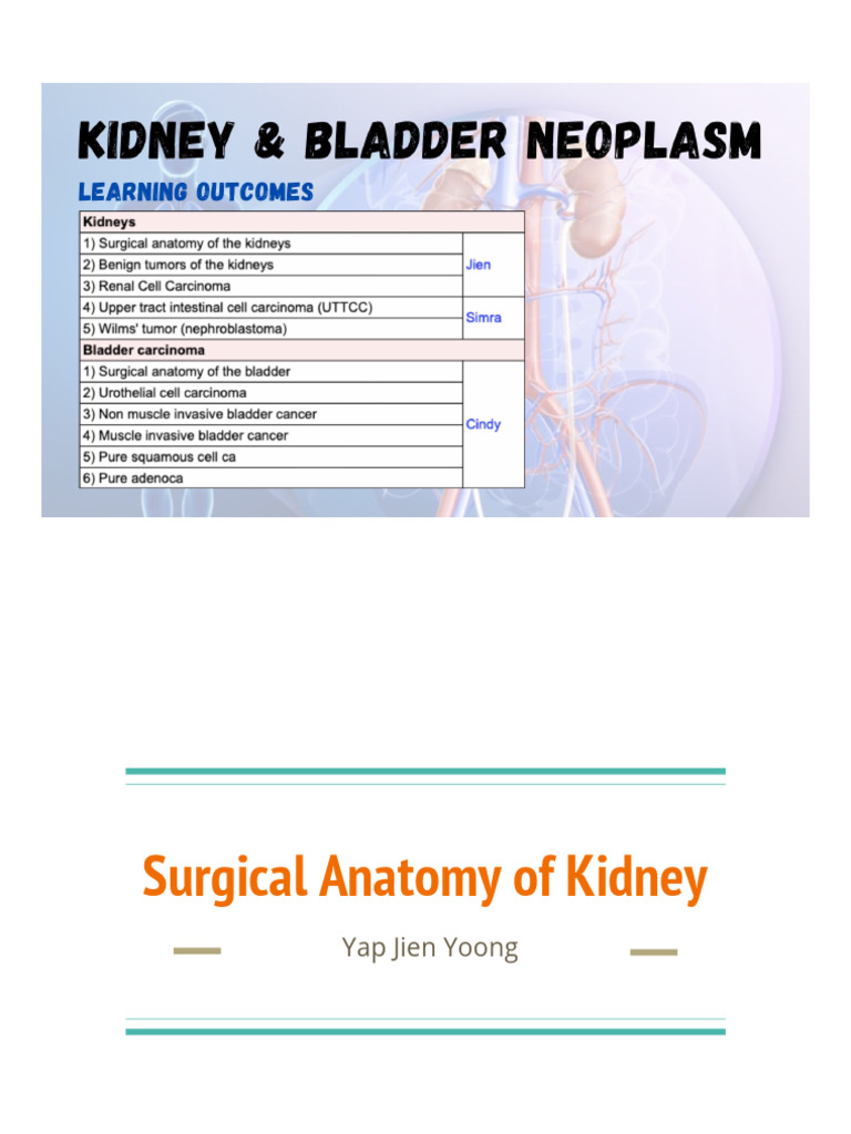 Neoplasm of The Kidney & Bladder | PDF | Kidney | Adrenal Gland